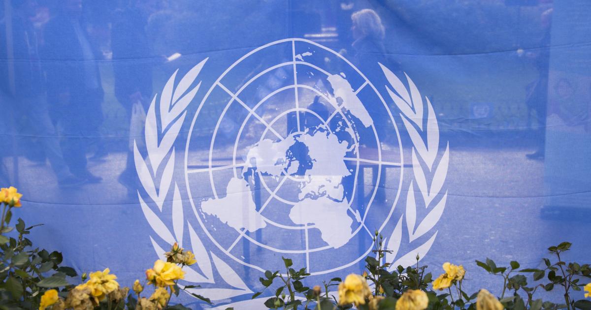 FN: – Norge diskriminerer mot afrikanere